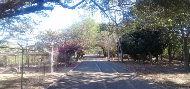Conoce la Belleza del Parque Ecológico Metropolitano de Tepic
